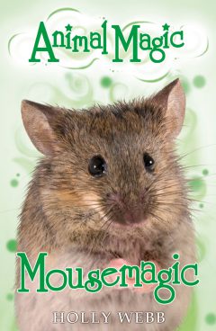 Mousemagic - Holly Webb