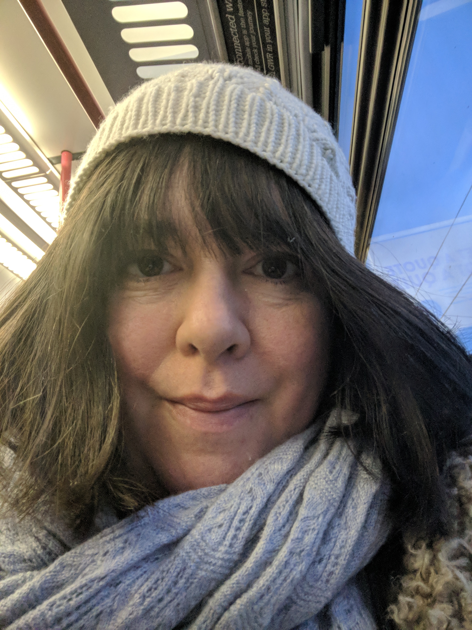 Snowy World Book Day! - Holly Webb