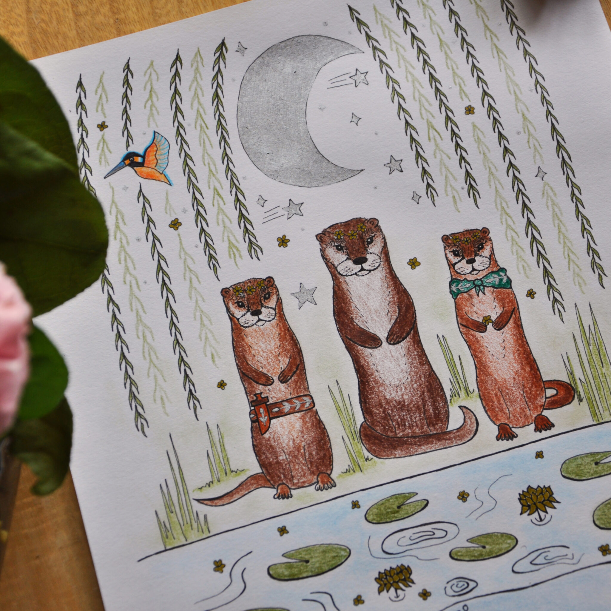 Pictures - Holly Webb